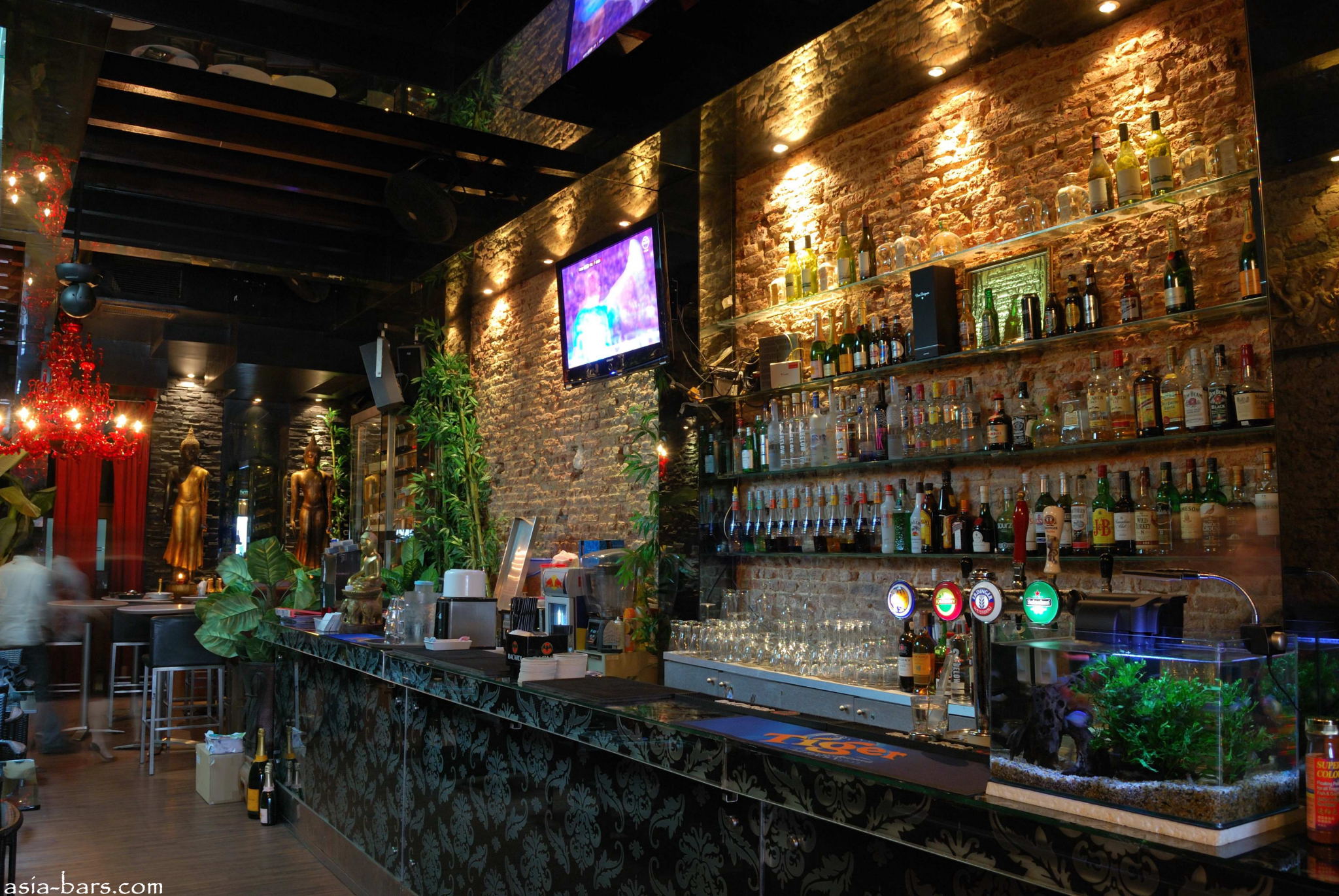 savanh-indochine-sinagpore009 - Asia Bars & Restaurants